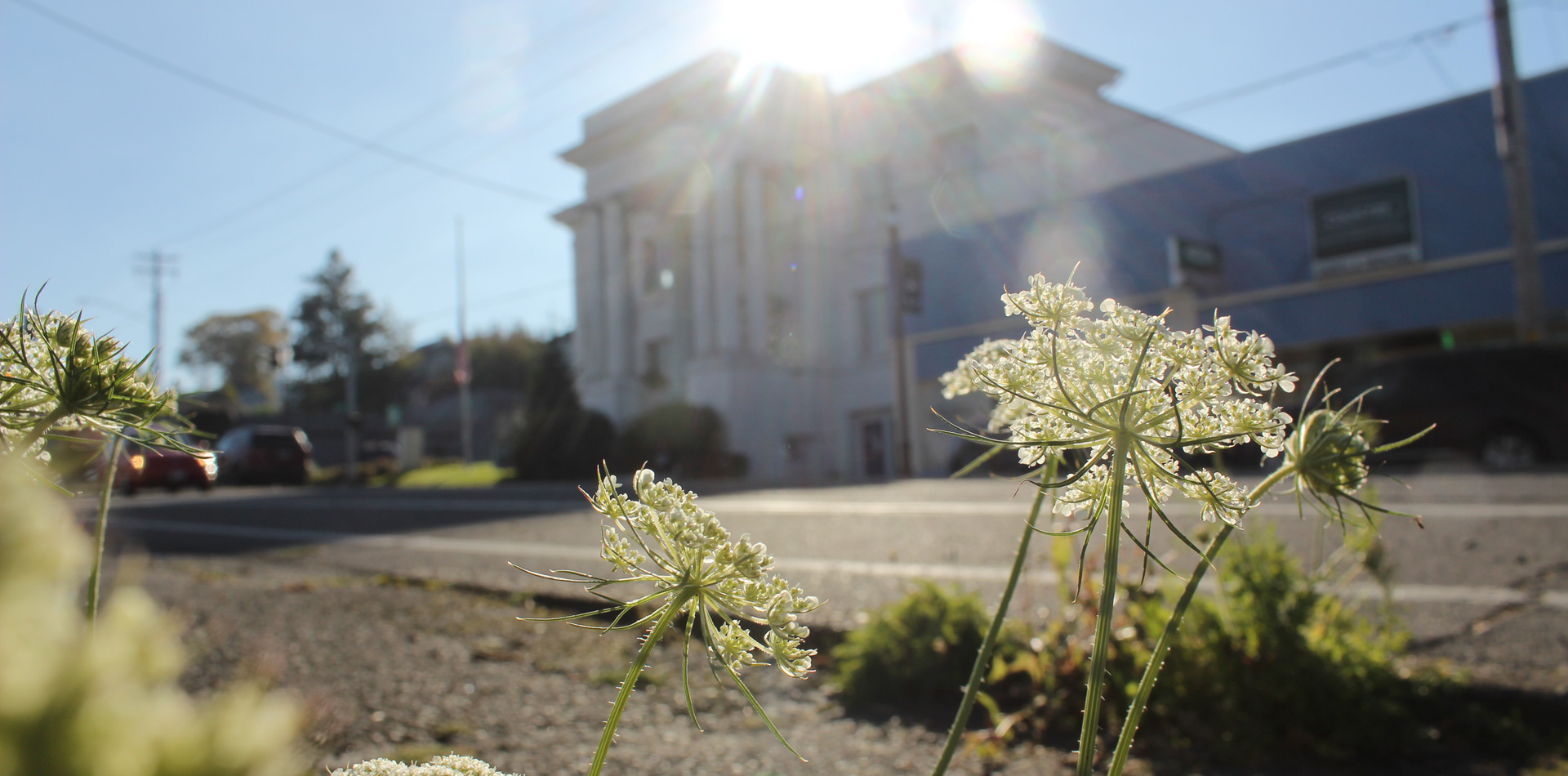 Home - City of Rainier